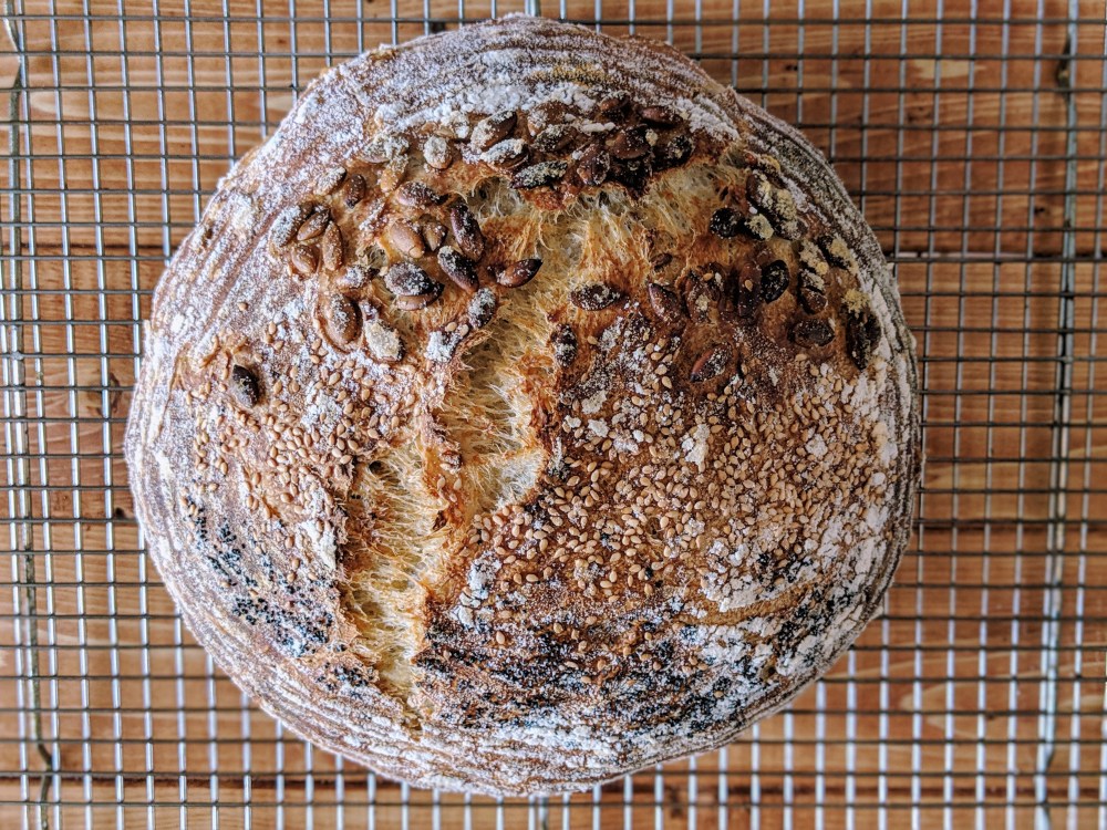 Pepitas + Sunflower seeds + Oats Hybrid – Alegre Bread