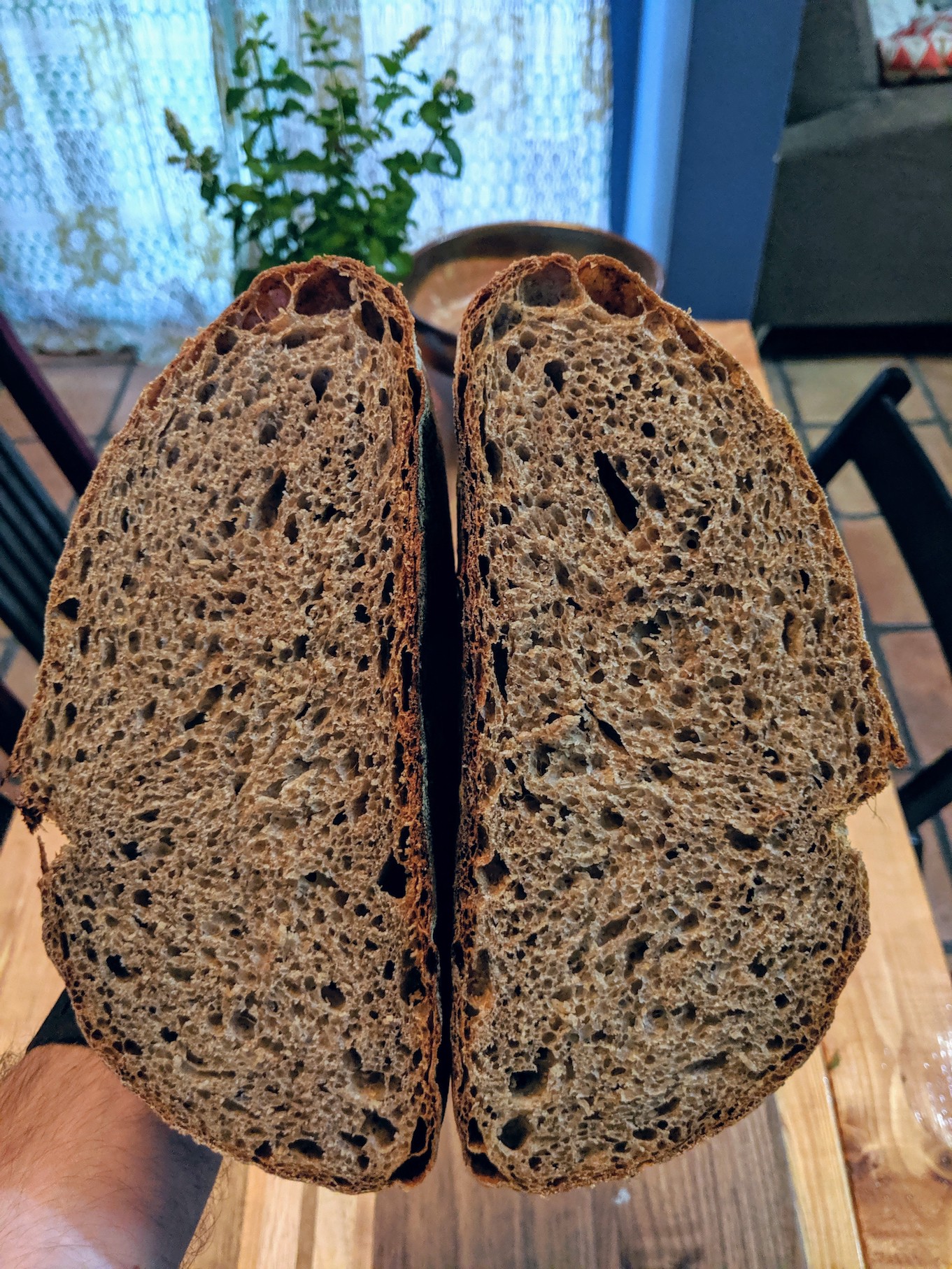 Spent Grain Standard Bread – Alegre Bread