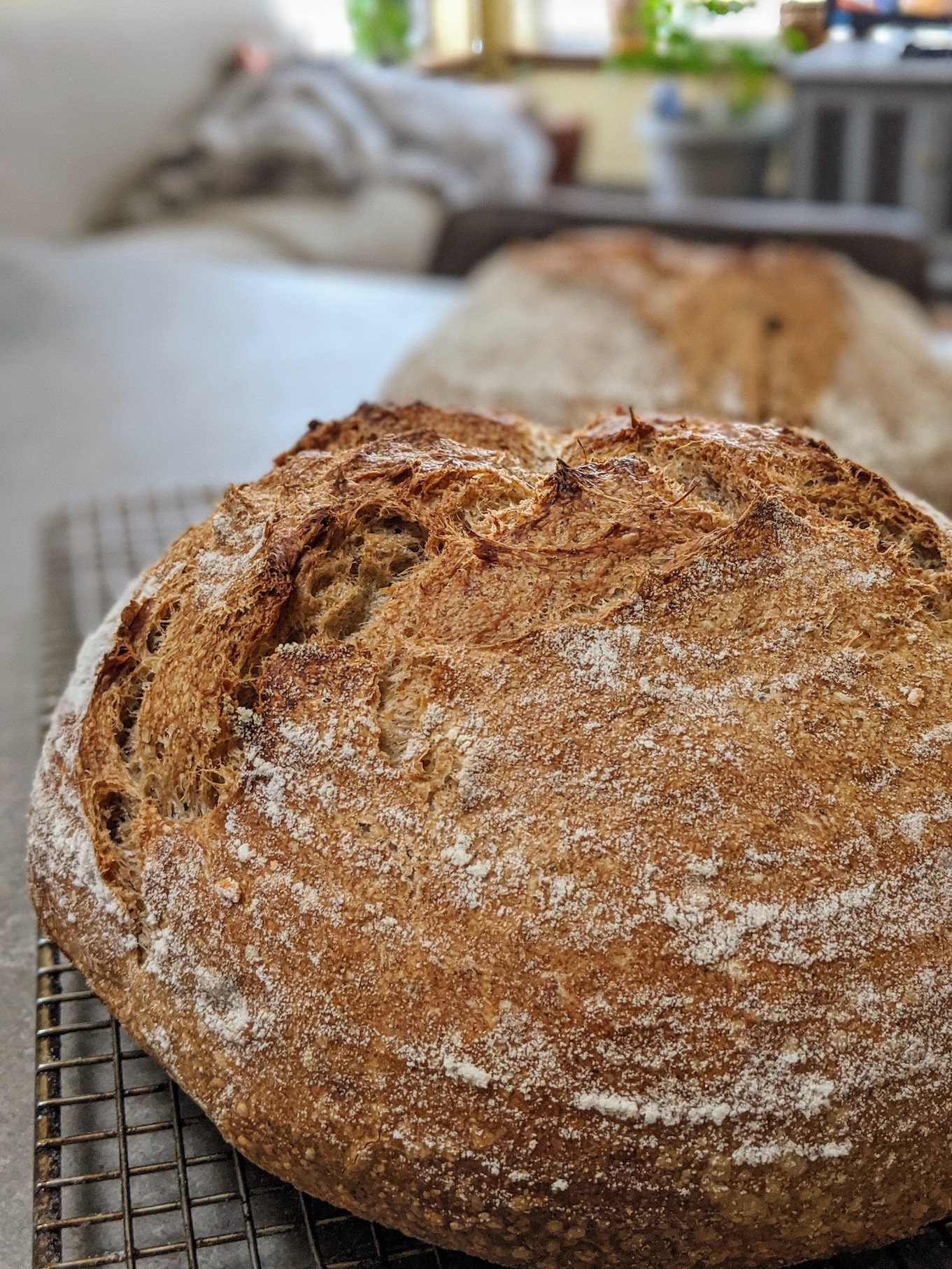 Recipes – Alegre Bread