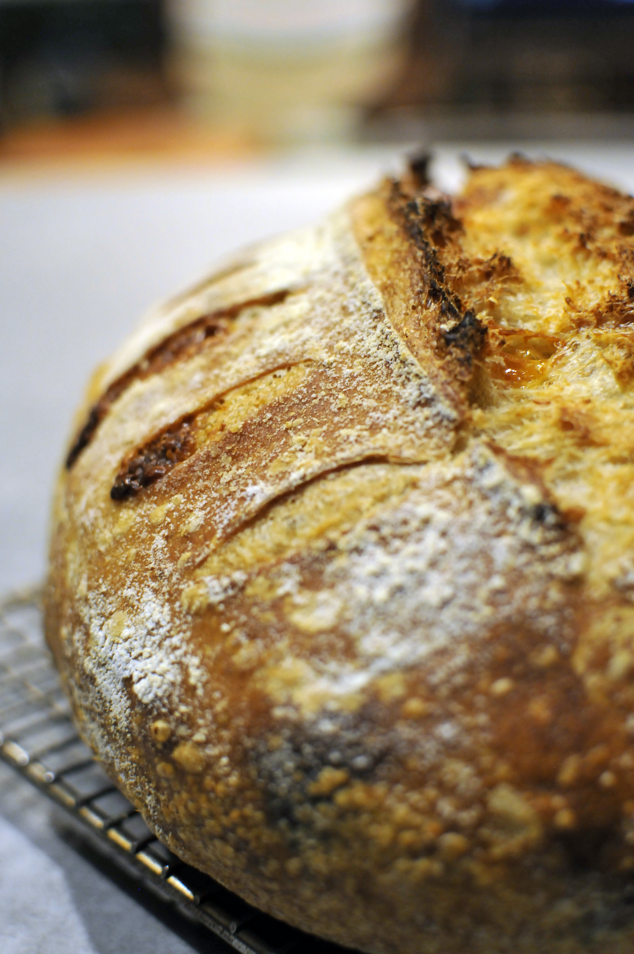 Aleppo Pepper + Mozzarella Sourdough – Alegre Bread