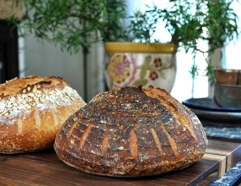 Blue Corn + Whole Wheat Sourdough – Alegre Bread