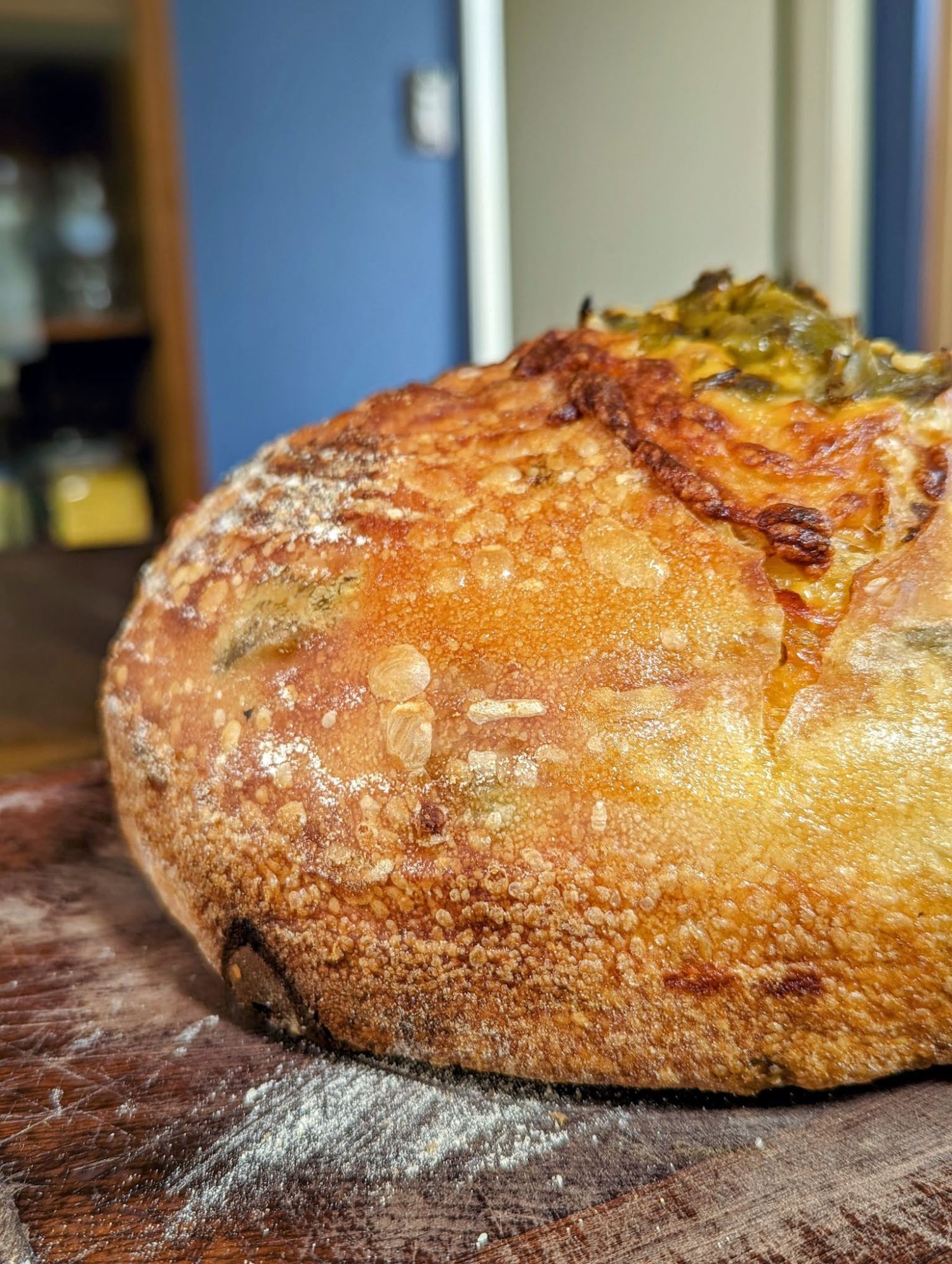 Green Chile + Cheese Sourdough – Alegre Bread