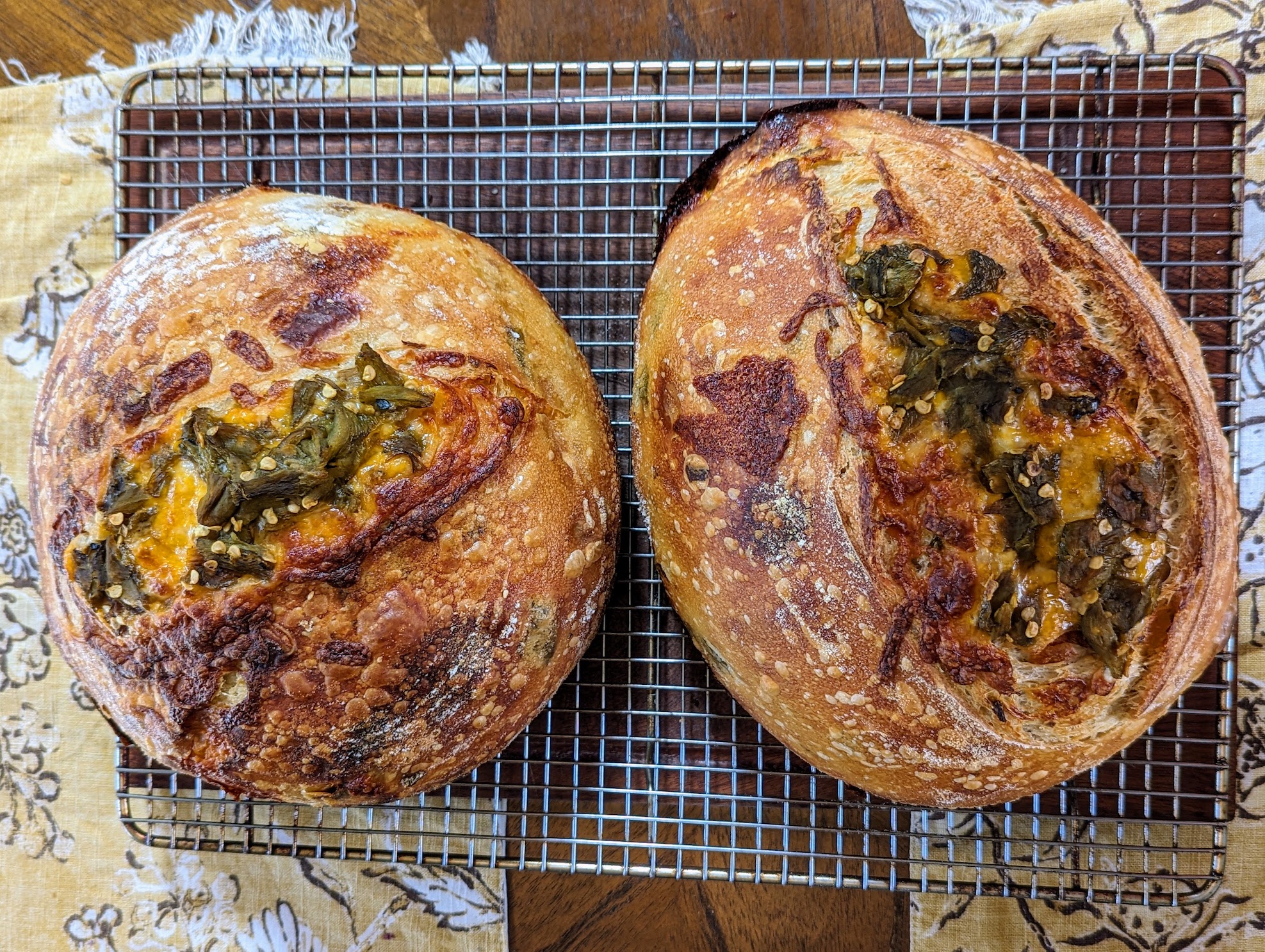 Green Chile + Cheese Sourdough – Alegre Bread