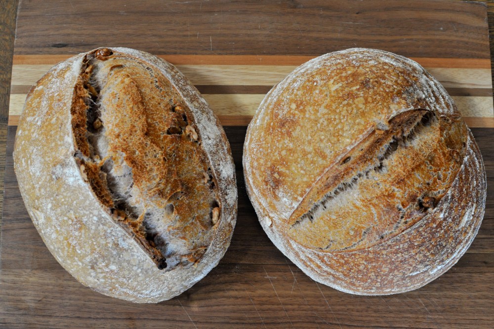 Blue Corn and Walnut Sourdough – Alegre Bread